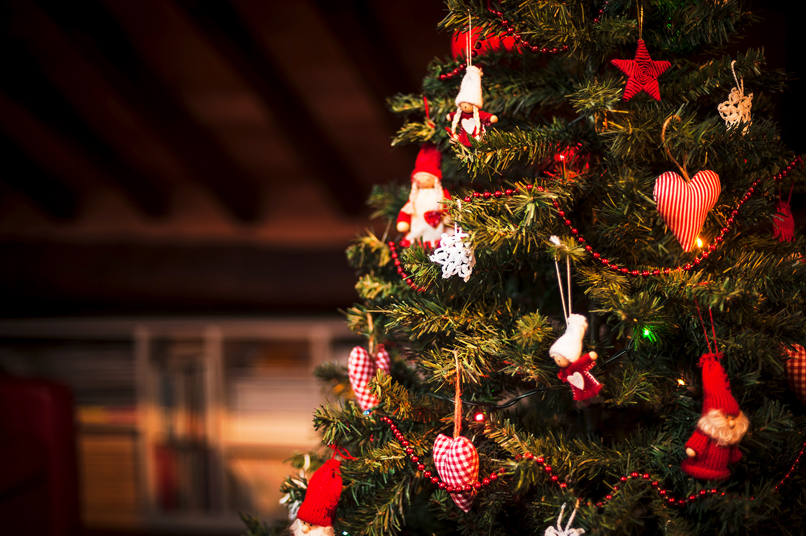 Coutumes & Traditions - Zoom sur la tradition du sapin de Noël